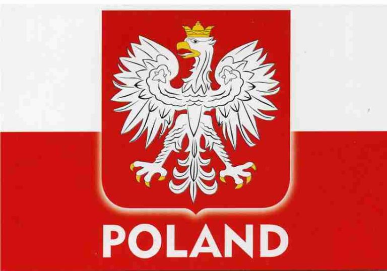 Polish Falcon ⋆ Richard Krizan, Accordionist * Richard's Magic Accordion